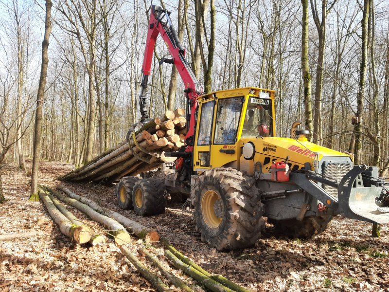 Welte Forstschlepper gebraucht & neu kaufen - technikboerse.at