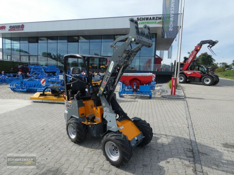Buy GiANT Compact wheel loader second-hand and new - technikboerse.com