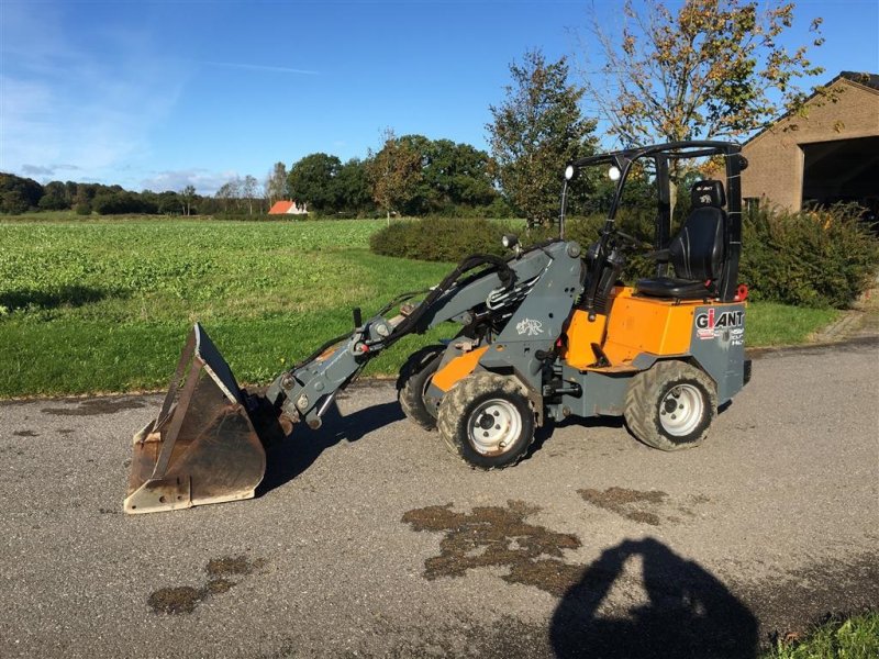 Buy GiANT Compact loader second-hand and new - technikboerse.com