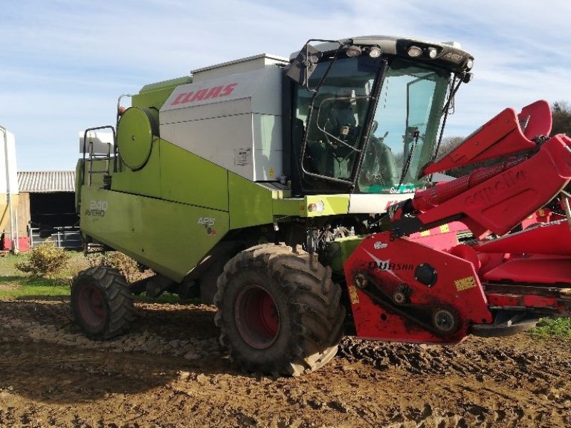 CLAAS Avero 240 gebraucht & neu kaufen - technikboerse.com