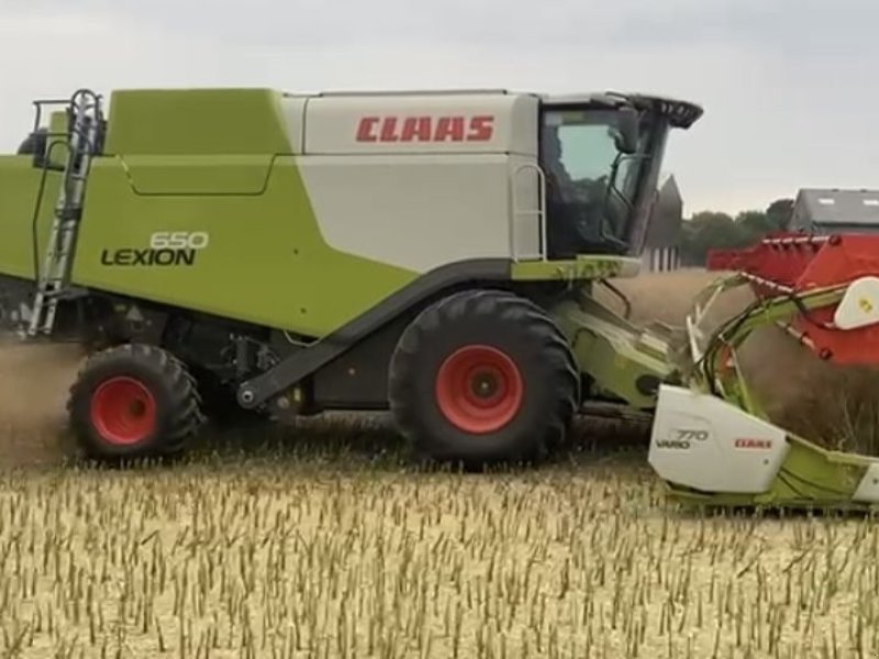 CLAAS Lexion 650 zakoupit použité & nové - technikboerse.com