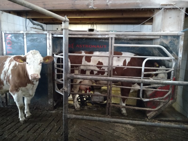 Lely Melkroboter gebraucht & neu kaufen - technikboerse.at