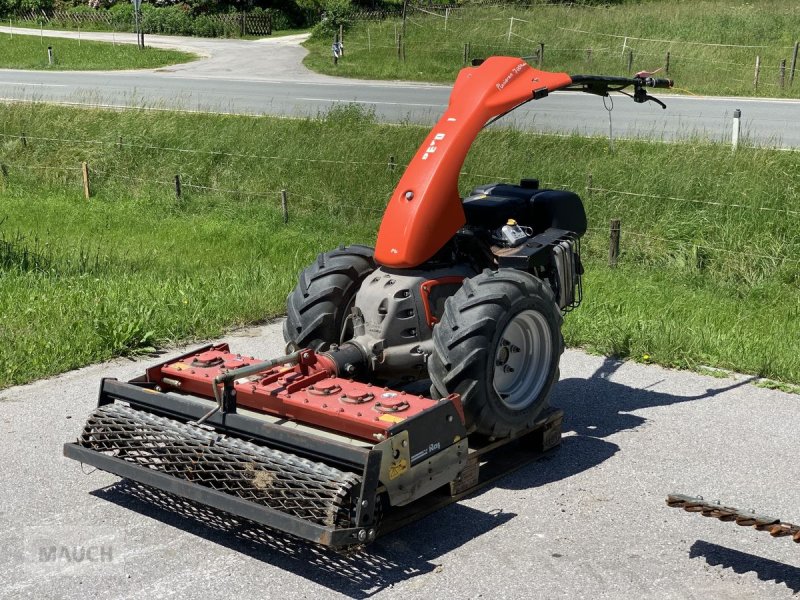 Reform Motormäher gebraucht & neu kaufen - technikboerse.at