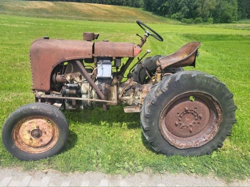 Steyr Oldtimer-Traktor gebraucht & neu kaufen - technikboerse.at