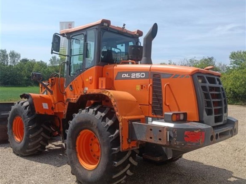 Doosan DL 250 gebruikt & nieuw kopen - technikboerse.com