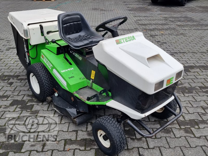 acheter Etesia Équipement du jardin & technique communale d'occasion et ...