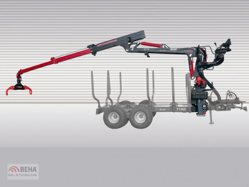 BEHA Rückewagen & Rückeanhänger gebraucht & neu kaufen - technikboerse.com