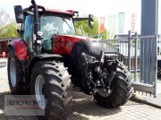 Case IH Maxxum 150 CVX gebraucht & neu kaufen - technikboerse.com