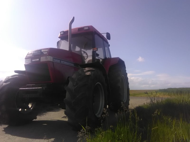 Case IH Maxxum 5120 gebraucht & neu kaufen - technikboerse.at