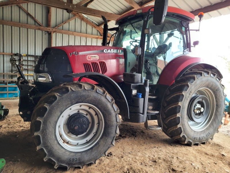 Case IH Puma 160 CVX zakoupit použité & nové - technikboerse.com