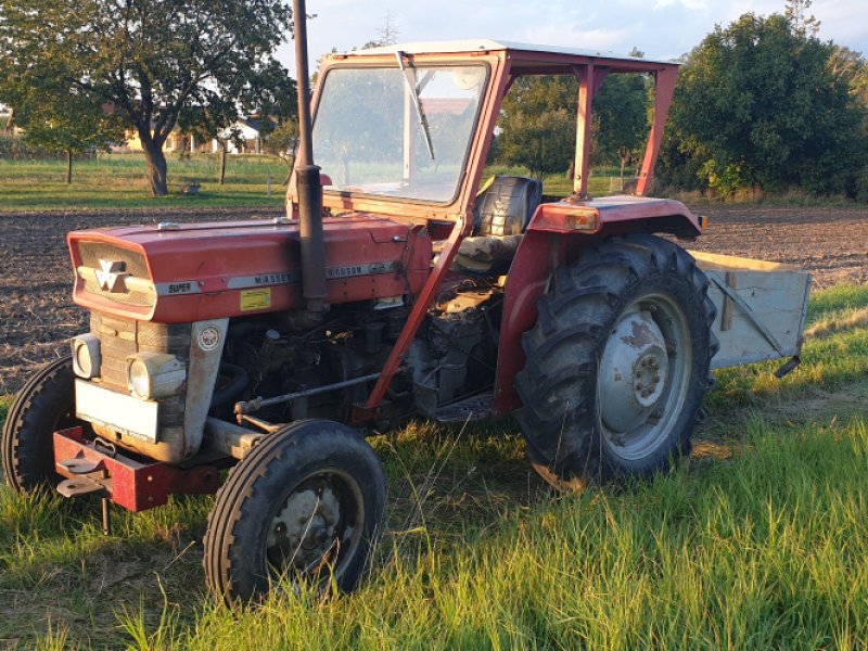 Buy Massey Ferguson 135 second-hand and new - technikboerse.com