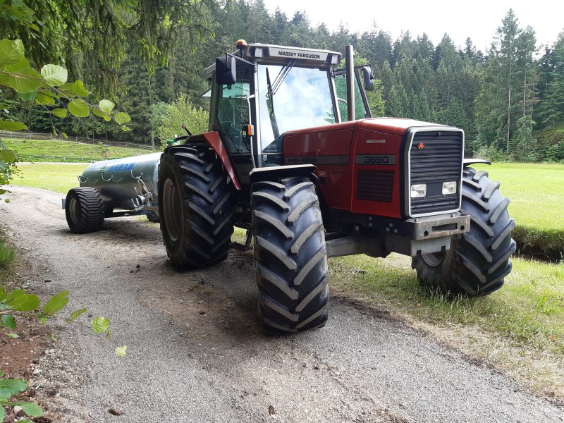 Massey Ferguson 3690 gebraucht & neu kaufen - technikboerse.at