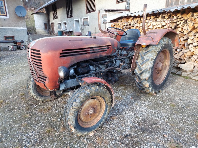 Steyr Трактор покупка на употребявани и нови - technikboerse.com