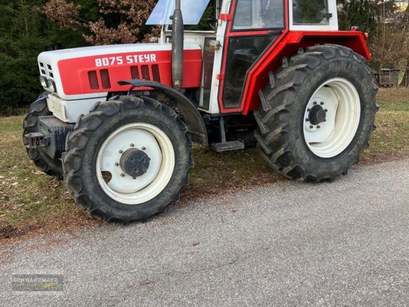 Buy Steyr 8075 second-hand and new - technikboerse.com
