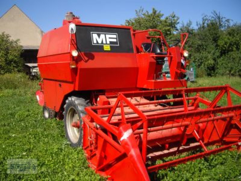 Massey Ferguson MF 240 Moissonneuse-batteuse - technikboerse.com