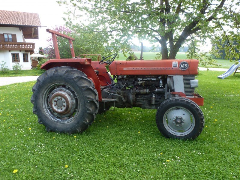 Massey Ferguson MF 165 Tracteur - technikboerse.com